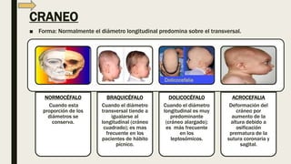Exploracion de cabeza y cuello | PPTX