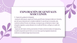 Exploración de genitales masculinos y femeninos.pdf