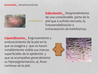 Exploracion De La Piel Pptx