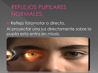Exploracion de los reflejos pupilares | PPTX
