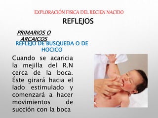 EXPLORACION DEL RECIEN NACIDO.pptx