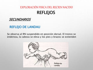 EXPLORACION DEL RECIEN NACIDO.pptx