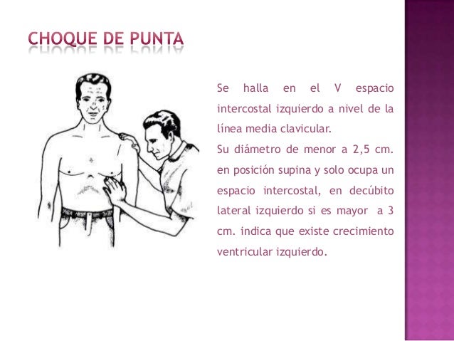 Exploracion del sistemacardiovascular