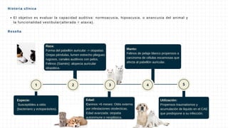 Exploración de oídos.pdf