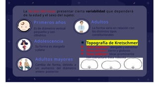 ANATOMIA DE TORAX Y EXPLORACION DE TORAX | PPTX