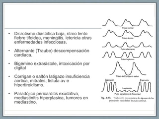 Exploracion fisica | PPTX