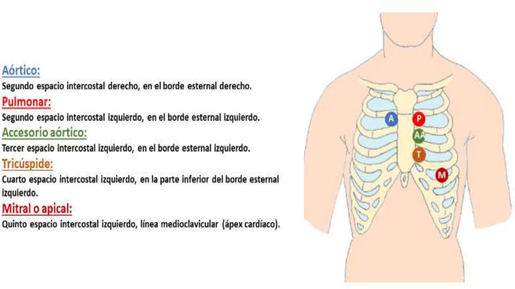 Semiologia de la Exploracion fisica cardiovascular | PPTX