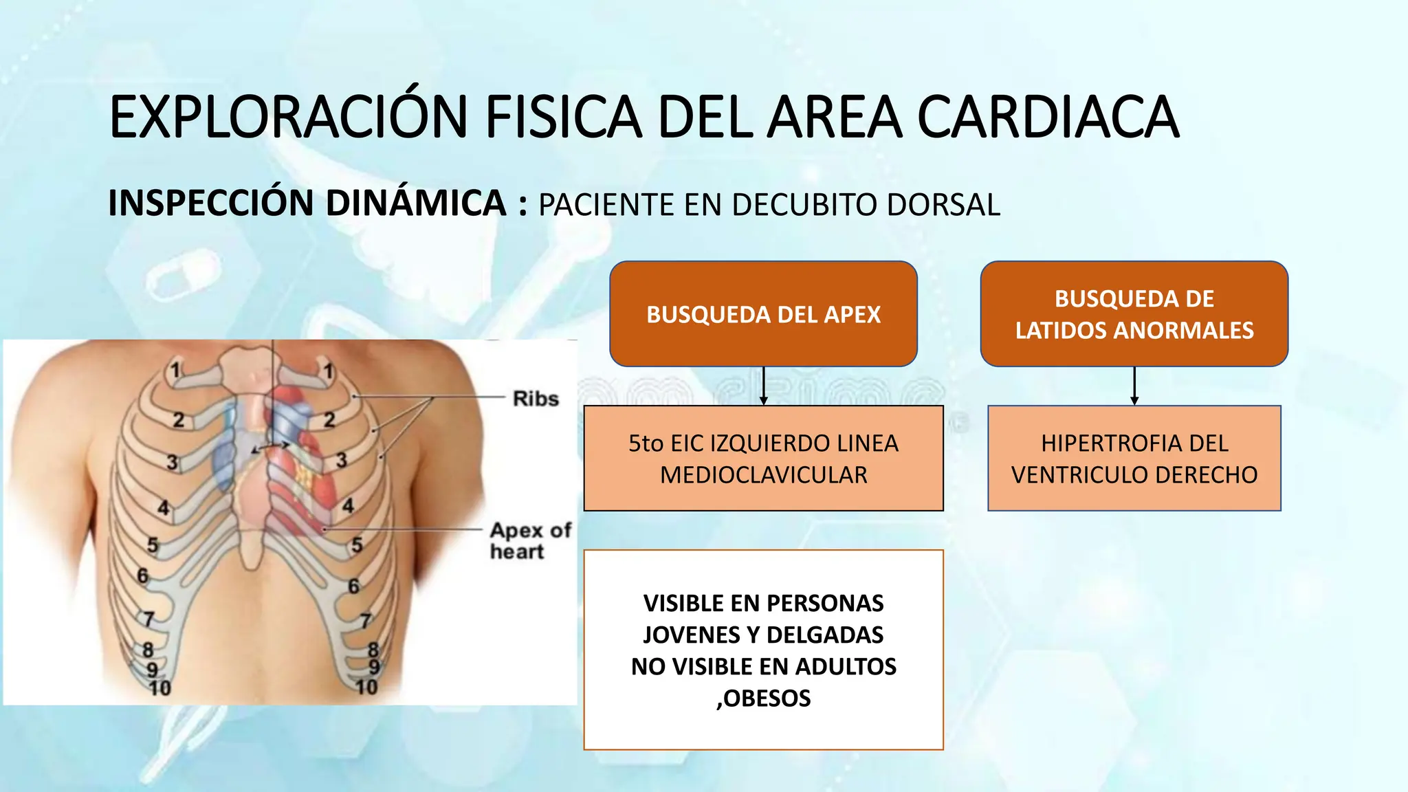 Semiologia de la Exploracion fisica cardiovascular | PPTX