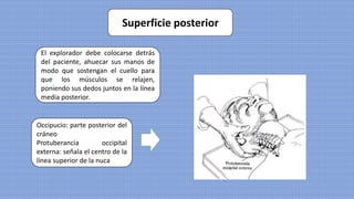 Exploracion fisica cervical, toracolumbar, hombro | PPTX