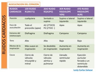 Exploracion fisica del aparato cardiovascular | PPTX