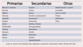 Exploración Física De La Piel y Lesiones Cutáneas Elementales | PPTX