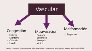 Exploración Física De La Piel y Lesiones Cutáneas Elementales | PPTX