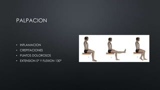 EXPLORACION FISICA DE RODILLA.pptx