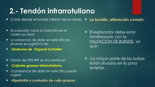 Exploracion fisica de rodilla avanzada ppt | PPTX
