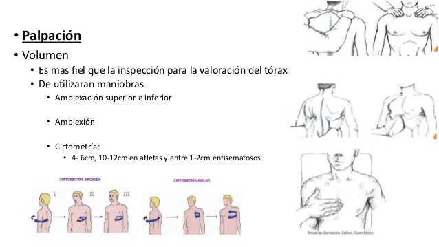 Exploración física neumológica
