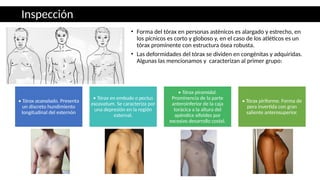 Exploracion Física y Semiología del tórax ok.pptx