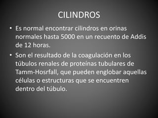 Exploracion funcional del riñon | PPTX