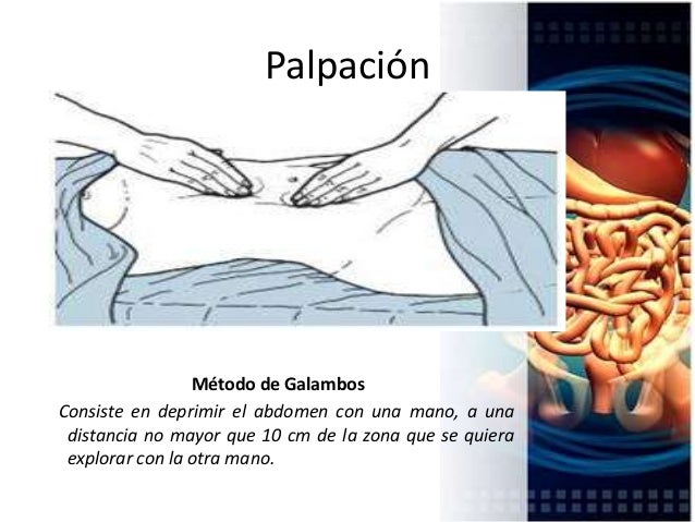 Exploracion Gastro Semiologia Abdomen | Images and Photos finder