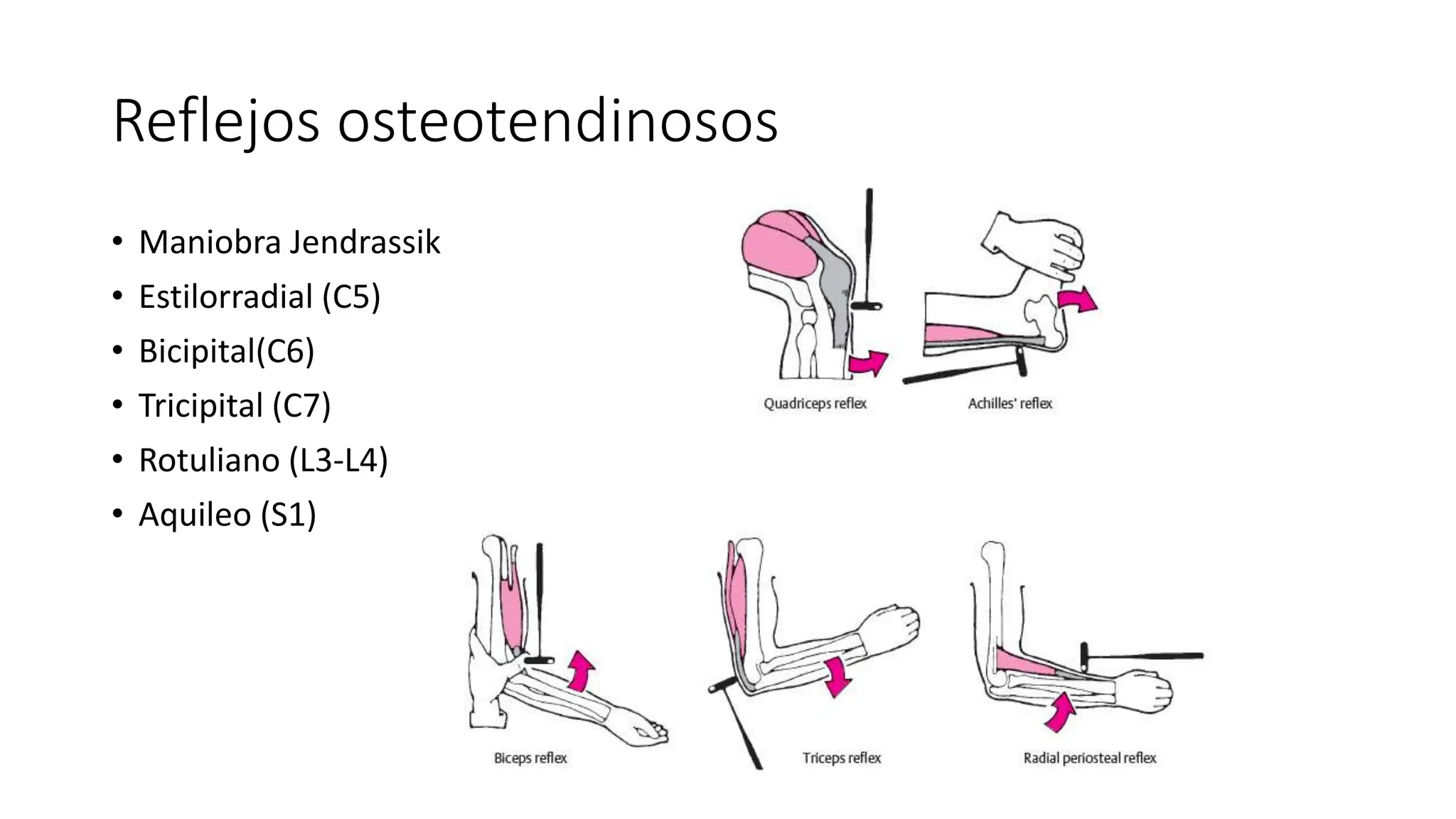 EXPLORACION IMAGENES.pptx, neurologicas, | PPT