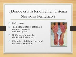 exploracion neurolgica vias largas y cerebelo.pptx