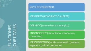 exploracion neurologica.pptx