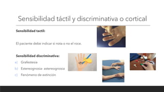 Exploración Física neurológica pediátrica.pdf