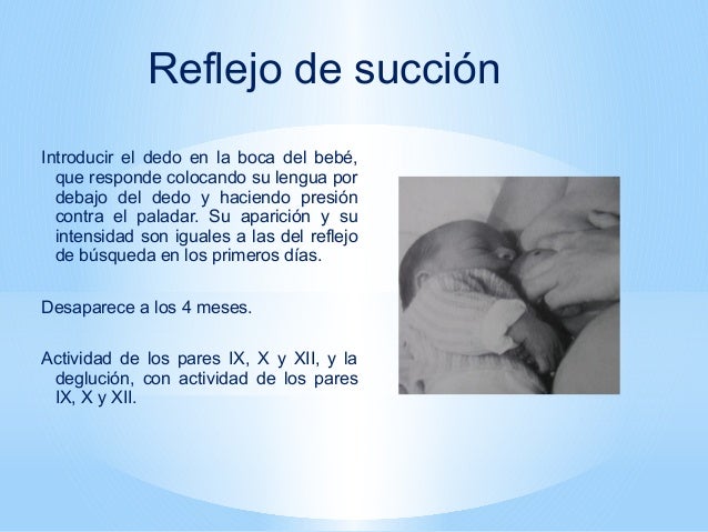 Exploracion Neurologica Pediatrica