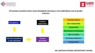 EXPLORACION DE LA SENSIBILIDAD | PPTX