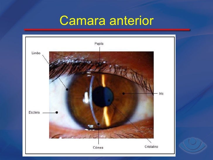 Exploracion oftalmologica Completa