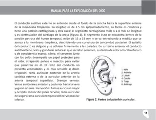 EXPLORACION DE ANATOMÍA DE OIDO y PABELLÓN | PDF
