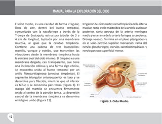 EXPLORACION DE ANATOMÍA DE OIDO y PABELLÓN | PDF