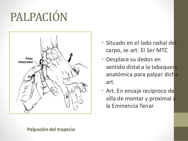 Exploracion ortopedica