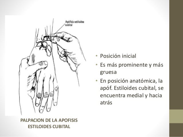 Exploracion ortopedica