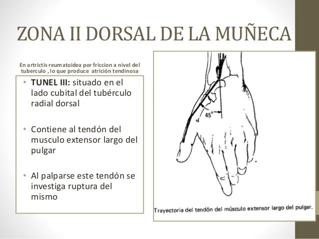 Exploracion ortopedica