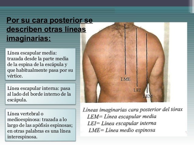 Exploración pulmonar Semiología