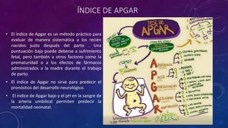 EXPLORACION RECIEN NACIDO.pptx