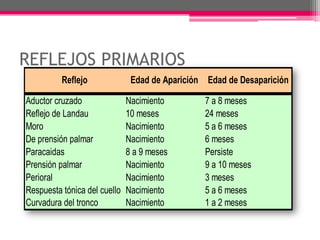 Exploración del Recién Nacido | PPTX