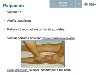 Exploracionrodilla.sesiónaplocomotor | PPTX