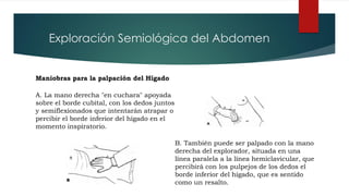 Exploración Semiológica del Abdomen (1) | PDF