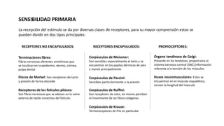 EXPLORACION SENSITIVA NEUROLOGICA.pptx