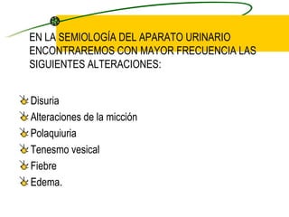 Exploracion sistema urinario | PPT