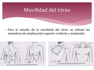 Exploracion toracica | PPT