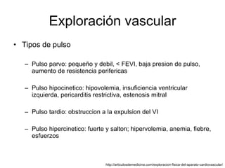 Exploracion vascular | PPT