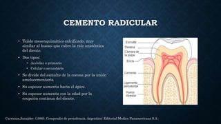 Exploracion y patologia periodontal | PPTX