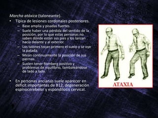 Exploracion y valoración del paciente geriátrico | PPTX