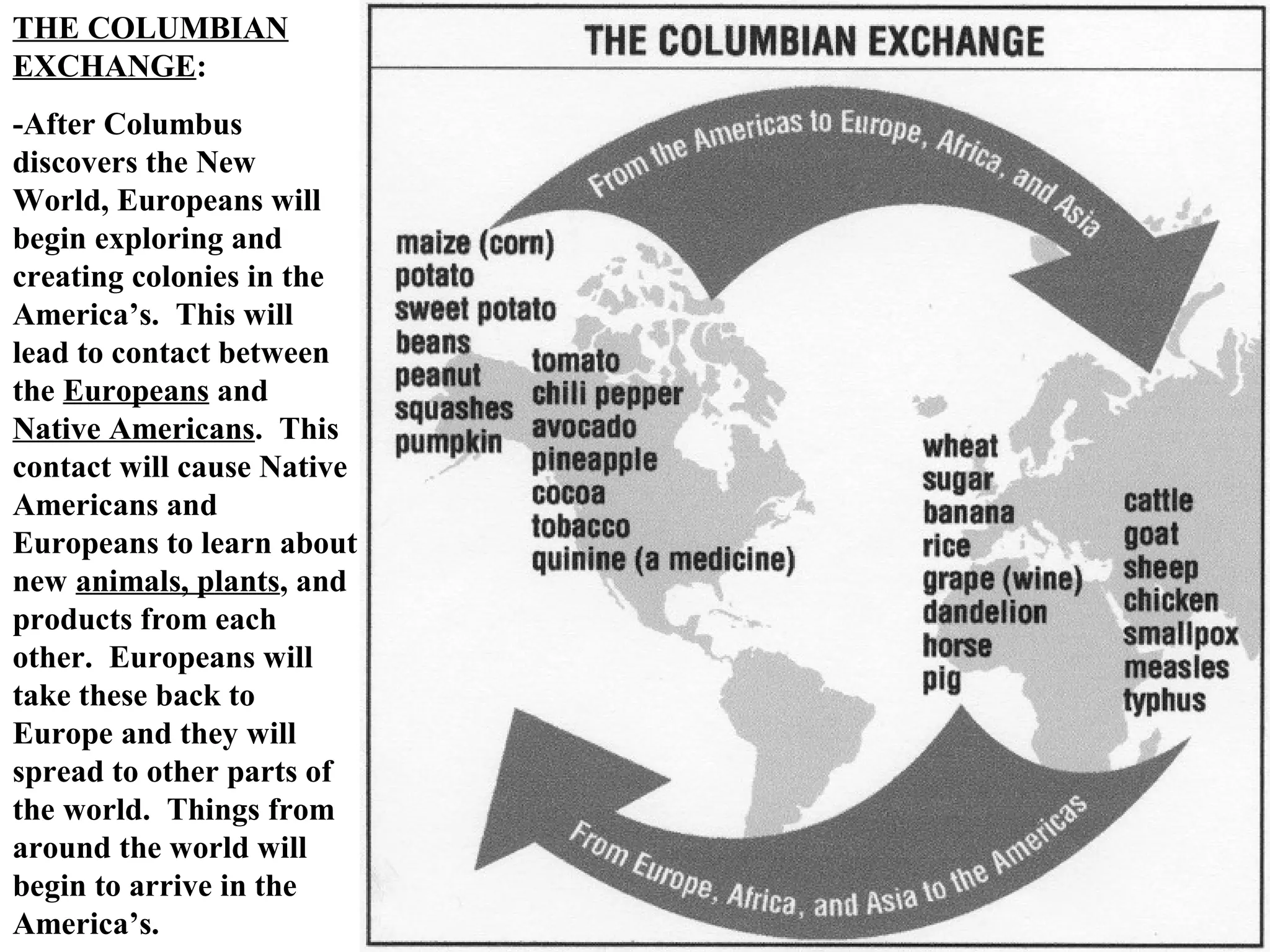 European Exploration and Colonization power point | PPT