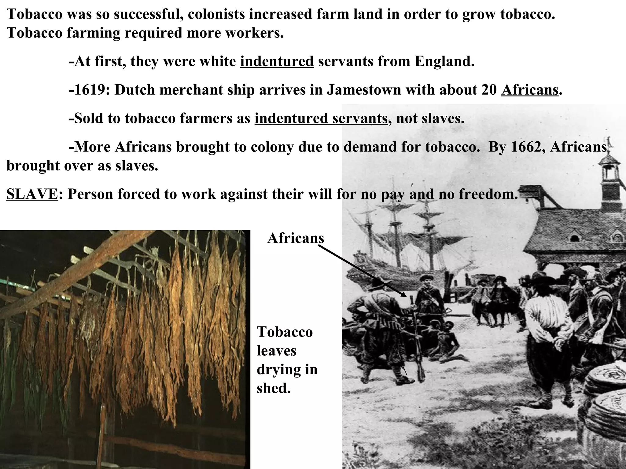 European Exploration and Colonization power point | PPT