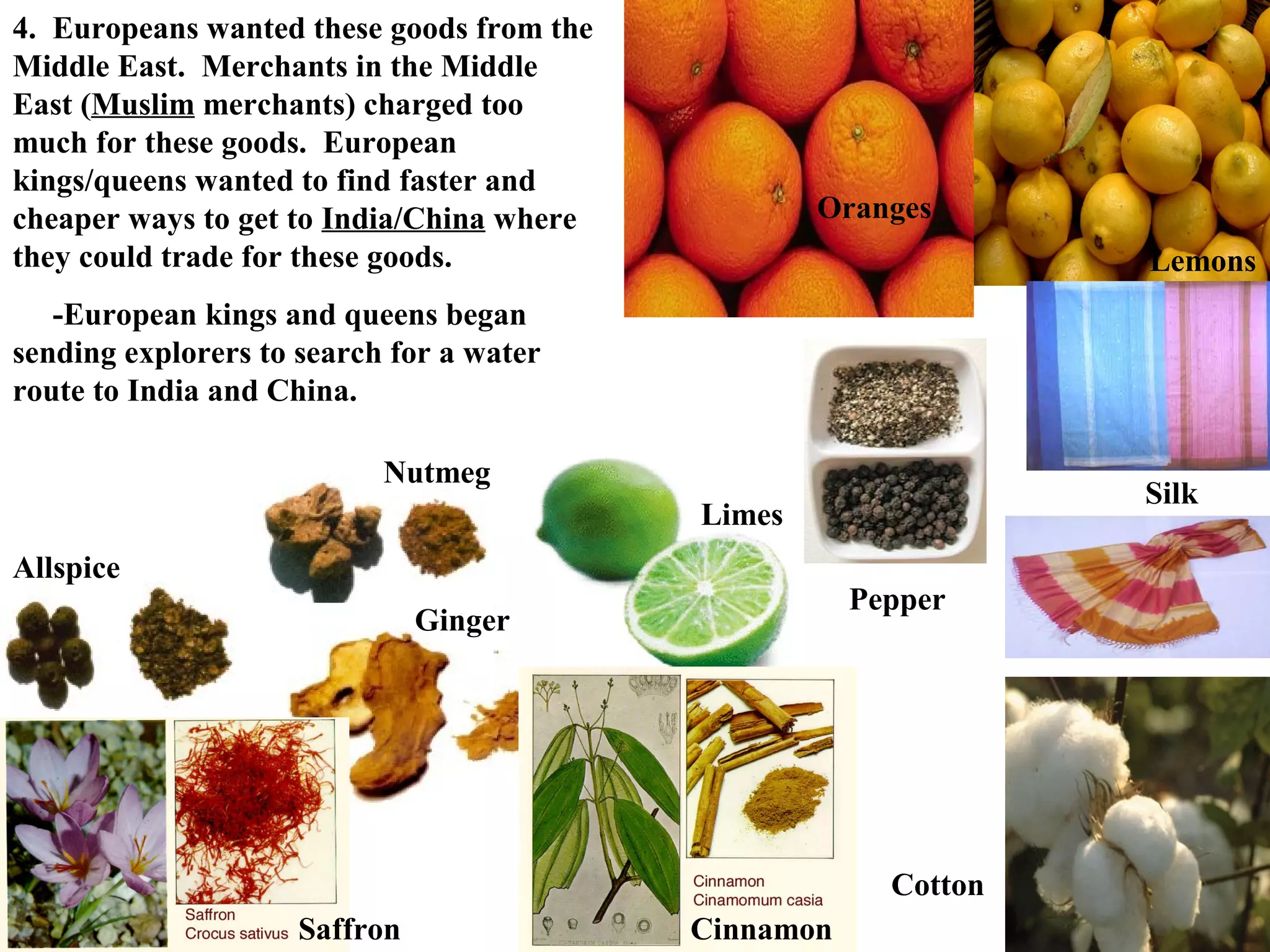 European Exploration and Colonization power point | PPT