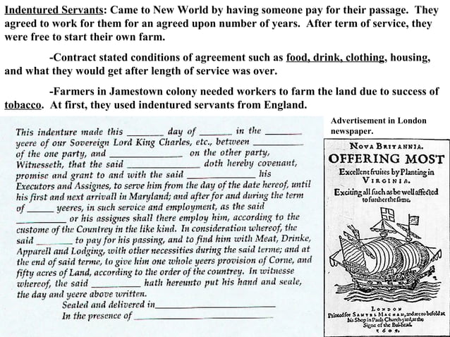 European Exploration and Colonization power point | PPT