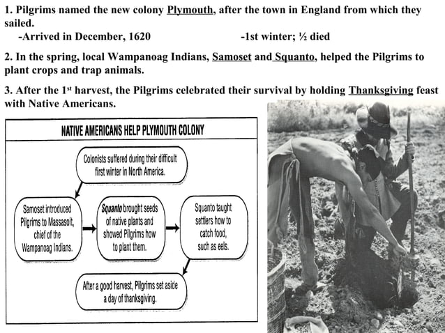 European Exploration and Colonization power point | PPT